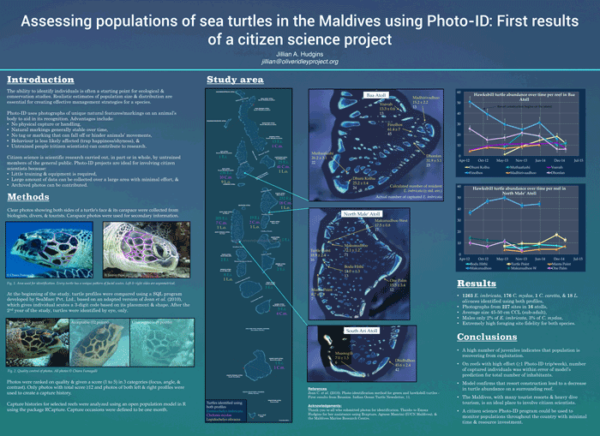 Resources | Olive Ridley Project