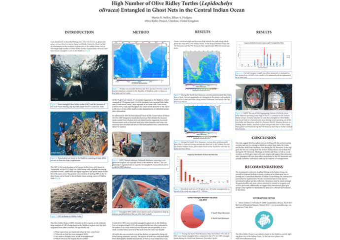 Resources | Olive Ridley Project