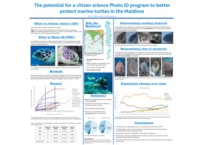 Resources | Olive Ridley Project