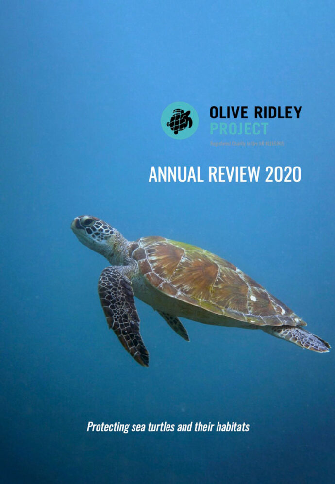 Impact Reports | Olive Ridley Project