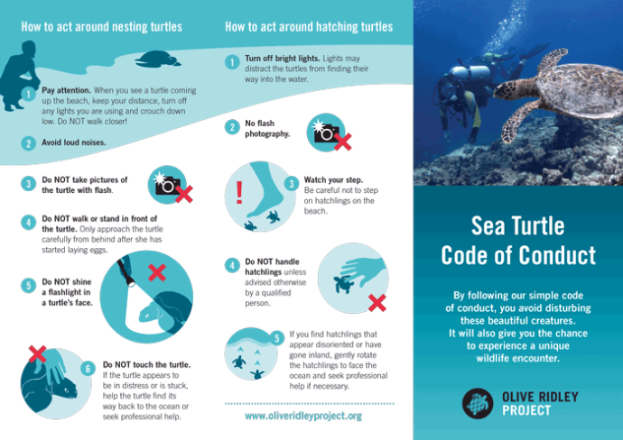 Resources | Olive Ridley Project