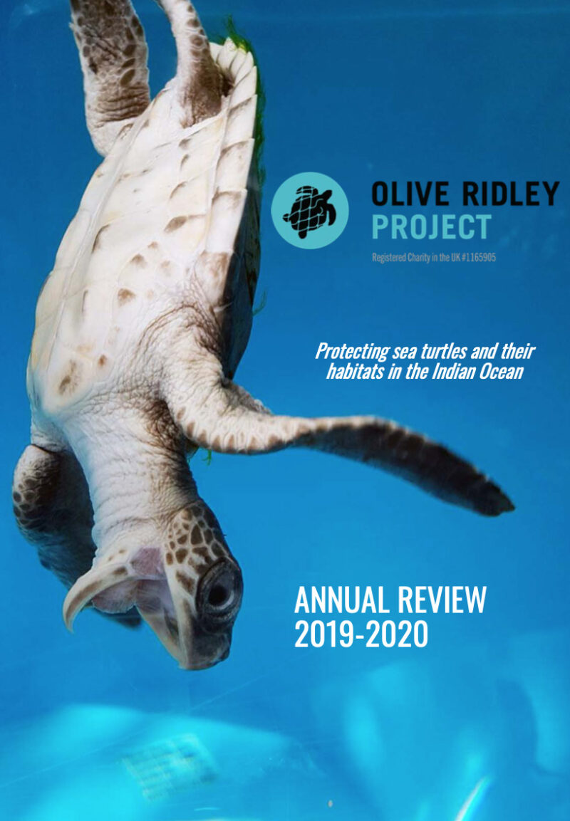 Impact Reports | Olive Ridley Project