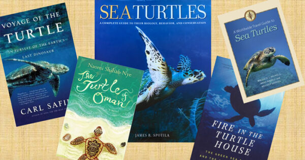 Turtle Book Club: Children's Books | Olive Ridley Project