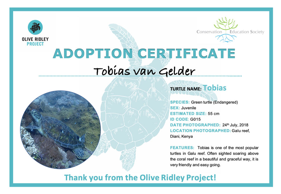 Celebrating 2 Years in Diani Beach | ORP Kenya