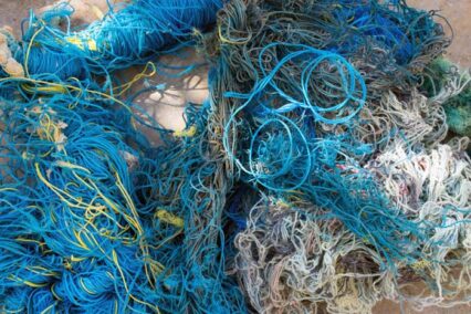 What are ghost nets made of? | Olive Ridley Project