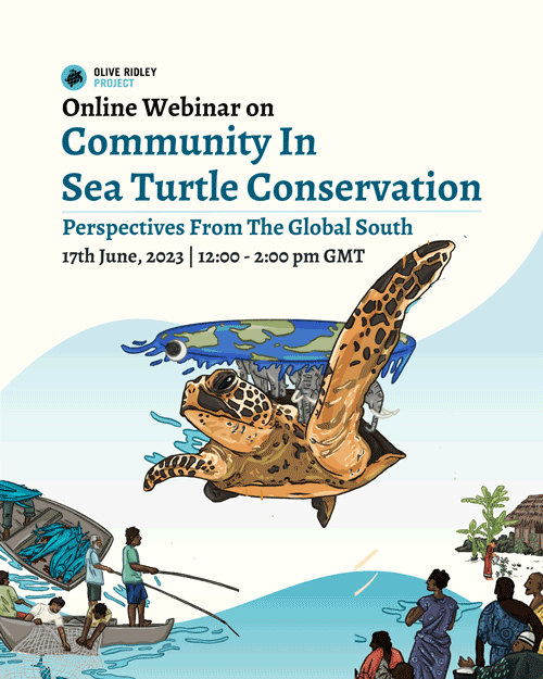 Links | Olive Ridley Project