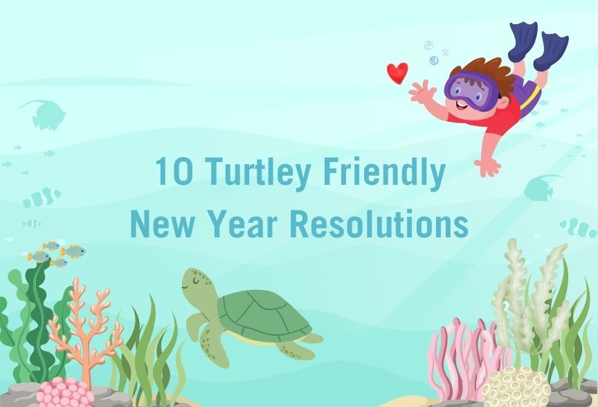 New-year, new-shell: Make your resolutions sea-turtle friendly | Olive ...